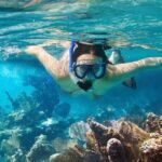 Cozumel Snorkeling Tour at Palancar & Colombia Reefs and El Cielo - Who Should Consider This Tour?