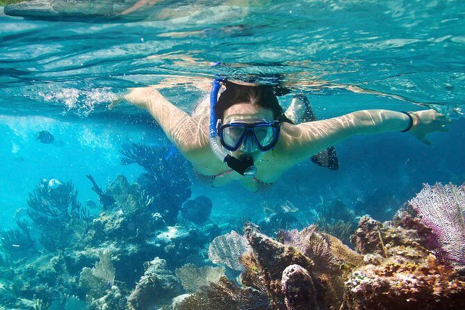 Cozumel Snorkeling Tour at Palancar & Colombia Reefs and El Cielo - Who Should Consider This Tour?