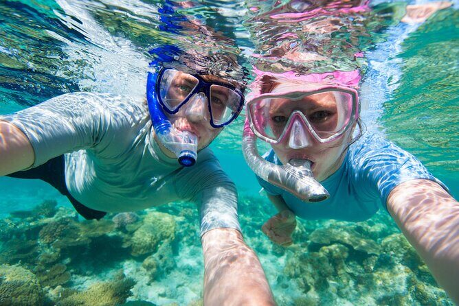 Cozumel Snorkeling Tour to Palancar Reef and El Cielo - Final Thoughts: Is This Tour Right for You?