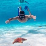 Cozumel Starfish and Tropical Reef Snorkeling by Powerboat with Lunch - Who Should Consider This Tour?