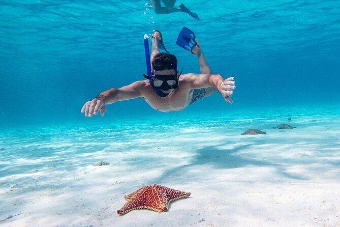 Cozumel Starfish and Tropical Reef Snorkeling by Powerboat with Lunch - Who Should Consider This Tour?