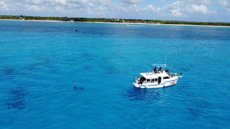 Cozumel: Two reef dives in Marine Park, certified divers - Why This Tour Offers Good Value