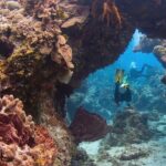 Cozumel underwater 2 Tank Dive by boat - The Value of This Experience