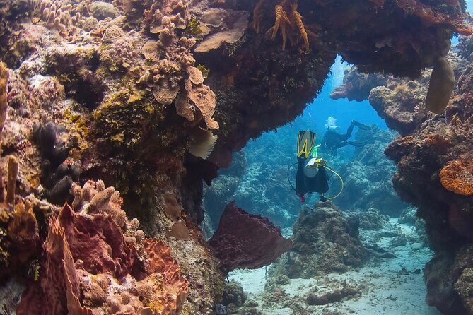 Cozumel underwater 2 Tank Dive by boat - The Value of This Experience
