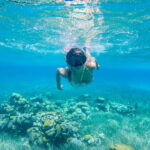 Cozumel: West Coast E-Bike and Snorkeling Tour - The Overall Experience and Value
