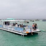 Crab Island Adventure - FAQ