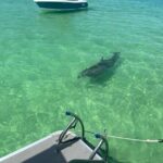Crab Island Party!! Lily Pad, Paddleboard, Speaker & Cooler - The Itinerary and What to Expect