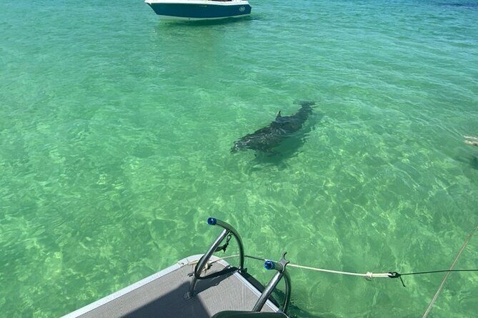 Crab Island Party!! Lily Pad, Paddleboard, Speaker & Cooler - The Itinerary and What to Expect