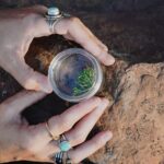 Create Energetic Flower Essences and Reconnect with Nature - Practical Details and Value Analysis