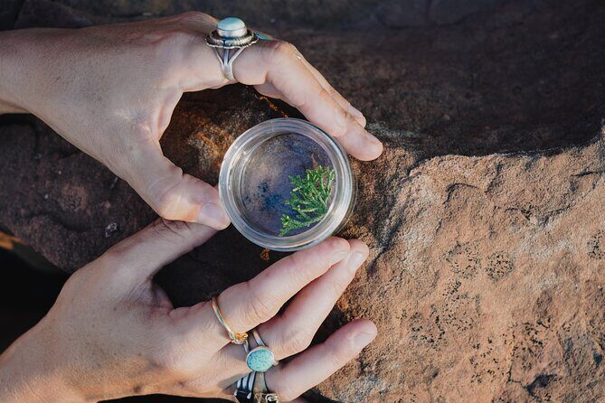 Create Energetic Flower Essences and Reconnect with Nature - Practical Details and Value Analysis
