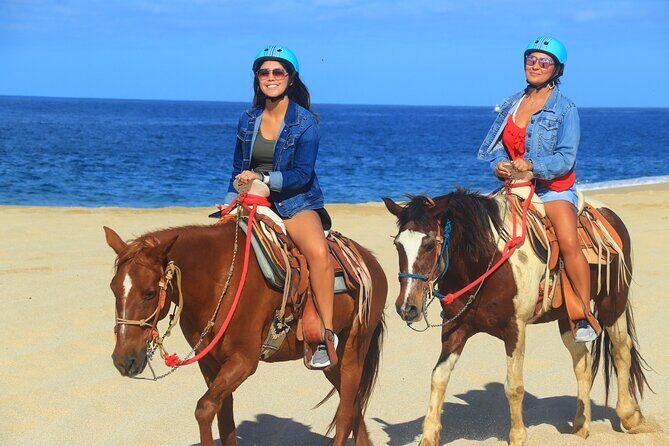 Create your COMBO: Choose 2 of the Best Tours in CABO - Who is this tour best suited for?