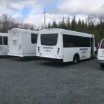 Cruise Ship Shore Excursion - Who Will Love This Tour?
