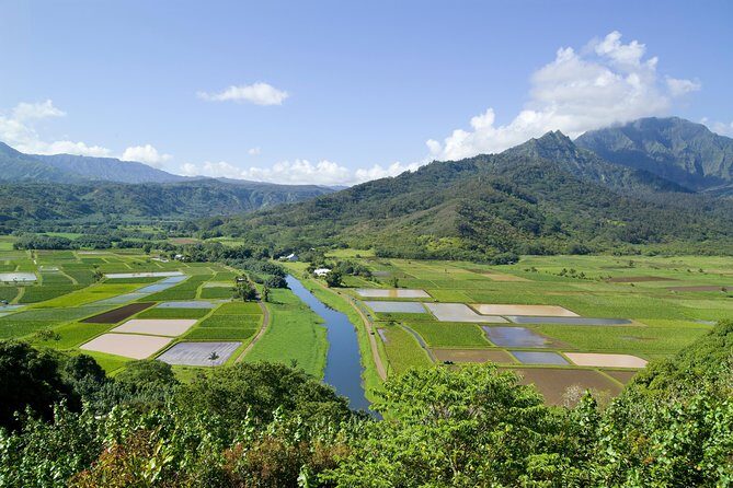 Cruise Ship Shore Excursion: Kauai Movie Sites Tour - The Itinerary in Detail: What Makes Each Stop Special