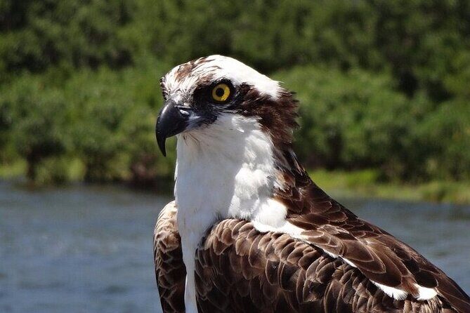Crystal River Boat and Nature Tour - Who Will Love This Tour?
