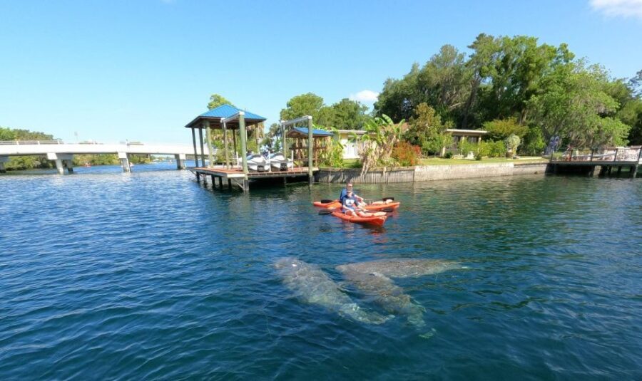 Crystal River: Kayak Rental - FAQ