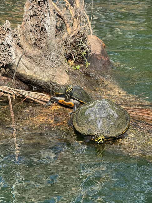Crystal River: Manatee Season Tour w/ Free Photo Package - Who Will Enjoy This Tour?