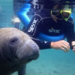 Crystal River: Manatee Snorkel Tour w/ In-Water Photographer - The Itinerary: From Learning to Swimming