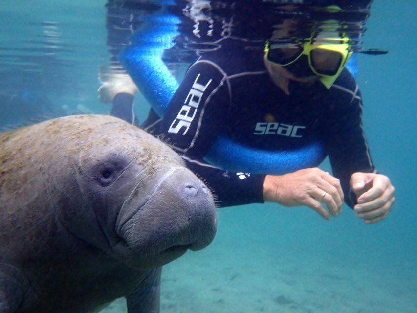 Crystal River: Manatee Snorkel Tour w/ In-Water Photographer - The Itinerary: From Learning to Swimming