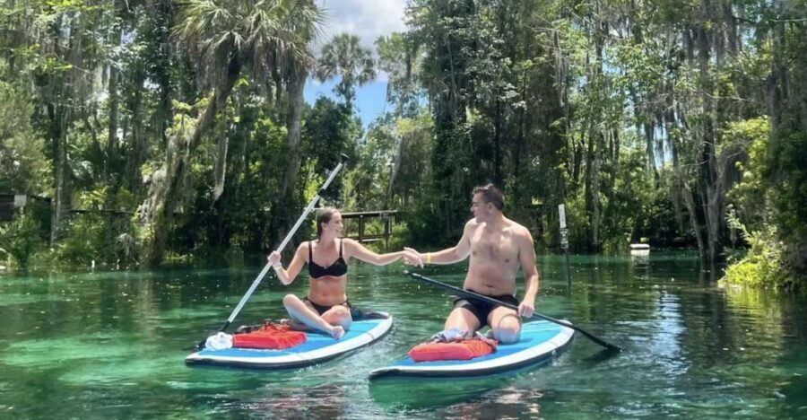 Crystal River: Paddle Board Rental - Who Should Consider This Experience?