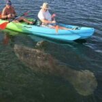Crystal River Sunrise Manatee Clear Kayak Tour - What Travelers Say