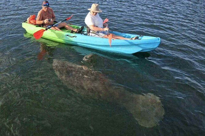 Crystal River Sunrise Manatee Clear Kayak Tour - What Travelers Say