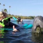 Crystal River: VIP Manatee Swim w/ In-water Photographer - Authentic Encounters and Real Reviews