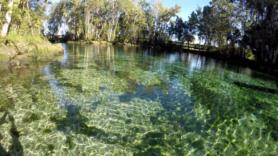Crystal River:Three Sisters Springs Guided Kayak & Swim Tour - The Experience and Its Value