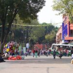 CU-Coyoacán and Xochimilco; Enjoy the Southern Colors of the CDMX - The Itinerary Breakdown