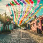 Culture, History and Food in Oaxaca City - Authentic Guides and Experience Quality