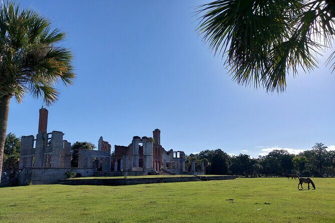 Cumberland Island Walking Tour - Practical Details and What to Expect