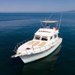 Custom 46' Boat in Puerto & Nuevo Vallarta - The Value of a Private, Customizable Tour
