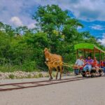 Cuzama Cenotes Adventure Day Trip - Who Would Love This Tour?
