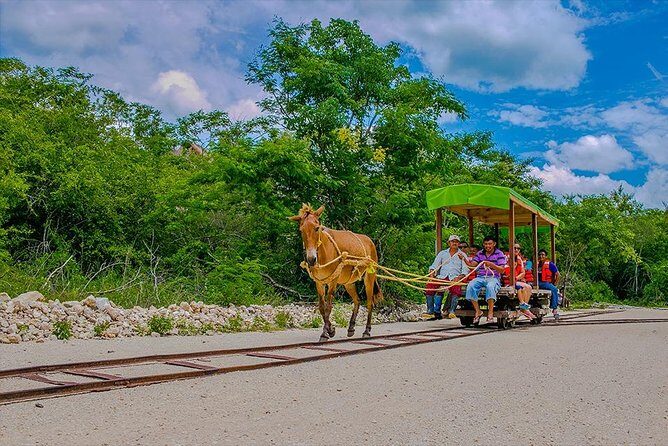 Cuzama Cenotes Adventure Day Trip - Who Would Love This Tour?