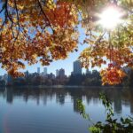 Cycling the Seawall: A Self-Guided Audio Tour Along the Stanley Park Seawall - An In-Depth Look at the Vancouver Seawall Audio Tour