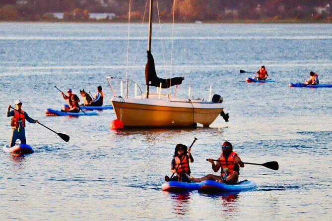 Daily SUP Paddleboard Rentals Package in Metro Vancouver - The Sum Up: Why This SUP Rental Offers Great Value