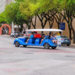 Dallas: 1 or 2-Hour Electric Cruiser Open-Air Tour - What Makes This Tour Stand Out