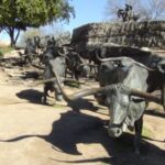 Dallas: Welcome to Dallas 3-Hour Small Group Tour by Van - Who Will Love This Tour?