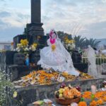 Day of the Dead Tour in Mixquic from Mexico City - What Travelers Say (Based on available reviews)
