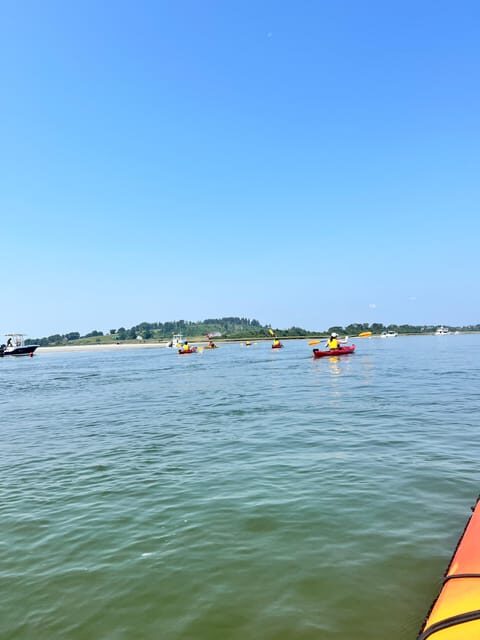 Day Trip from Boston: Guided Kayak at the Crane Estate - What to Expect During the Tour