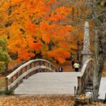 Day Trip from Boston: Historic Walking Tour of Concord, MA - Authentic Experiences and Traveler Feedback