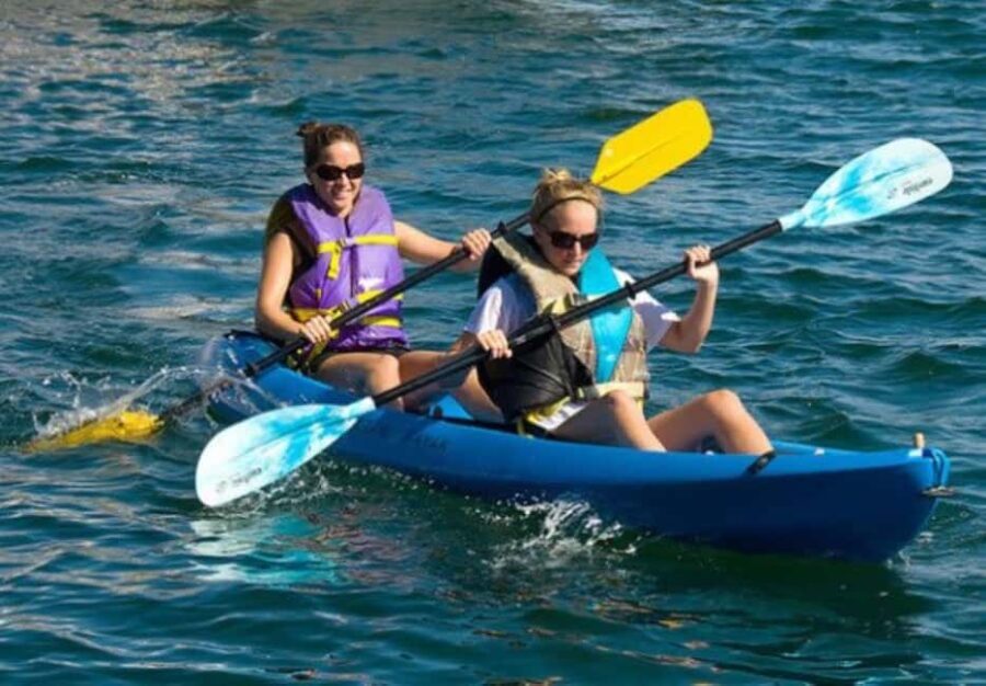 Day Trip From Boston: Kayak Tour through Gloucester Harbor - The Itinerary in Detail: What to Expect from Start to Finish