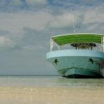 Day Trip to Isla Contoy - What We Love & What to Consider