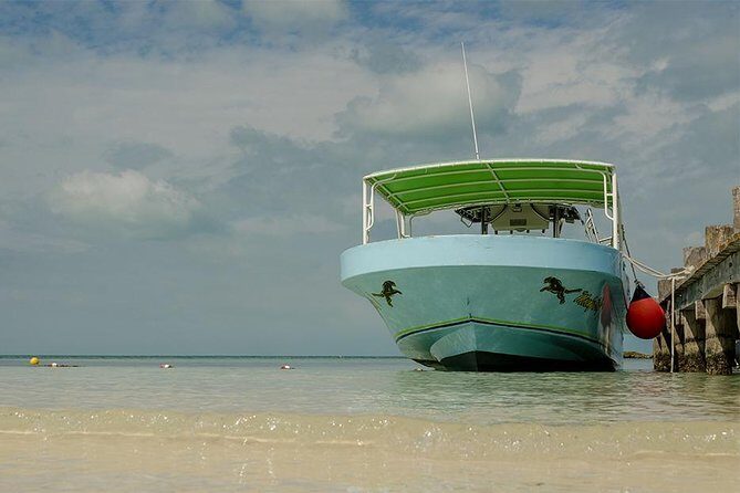 Day Trip to Isla Contoy - What We Love & What to Consider