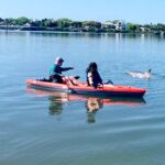 Daytona Beach: Guided Kayaking or Standup Paddling Tour - The Practicalities: What You Need to Know