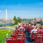 DC: Hop-on Hop-off Bus, Arlington Walking Tour, and Night Tour - Arlington Cemetery Walking Tour: Honoring the Past