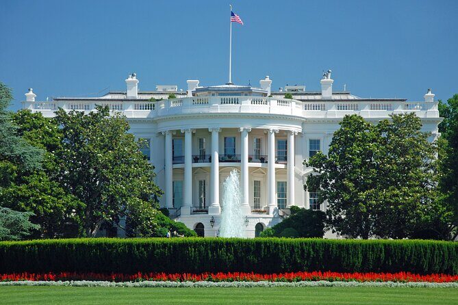 DC Morning Monuments Bus and Arlington 2:15 pm Walking Tour - How Does It Compare to Other Tours?