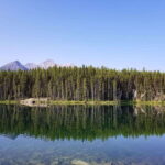 Deep Day Tour to Peyto, Moraine, Louise Lakes, J. Canyon... - Who Will Love This Tour?
