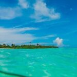 Deep into Nature at Sian Ka'an Biosphere! Round Transportation From Riviera Maya - What the Reviews Say