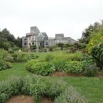 Deluxe North Shore and City Tour - What the Tour Feels Like