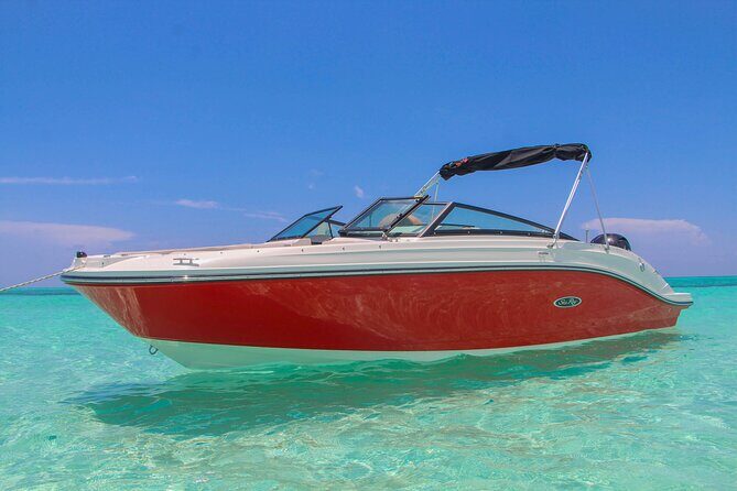 Deluxe Private Boats - 24 ft Sea Ray - Practical Tips for Booking and Enjoying Your Day